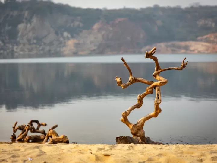 Descubre el katam: el colorante natural para un cabello perfecto con ...