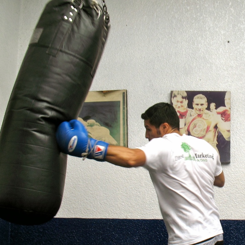 Los mejores guantes de boxeo para principiantes: guía de compra - Sport ...